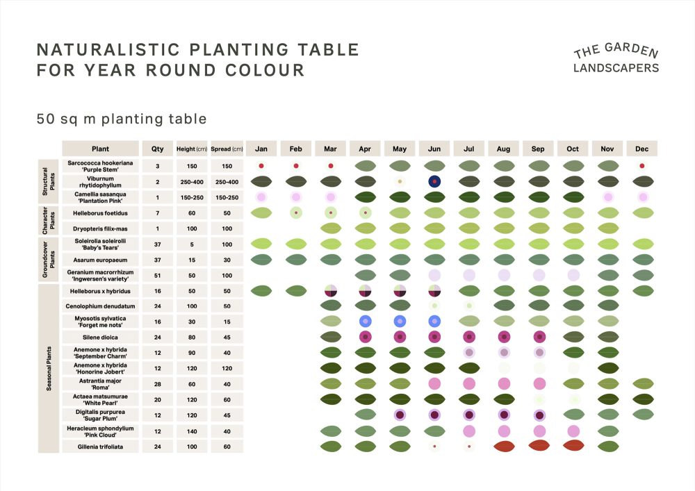 Naturalistic planting table for year round colour - The Garden Landscapers